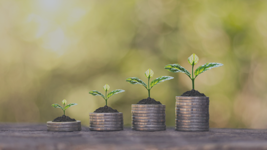 Home - Cubiquity Media